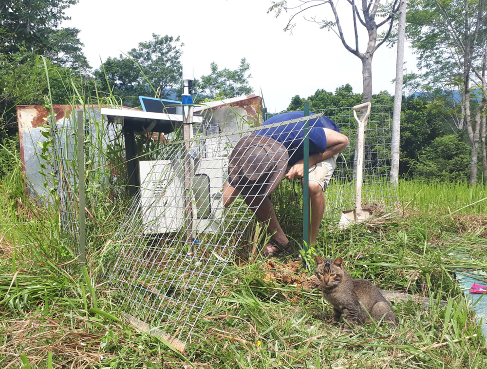 Unravelling enigmas in the global subduction system